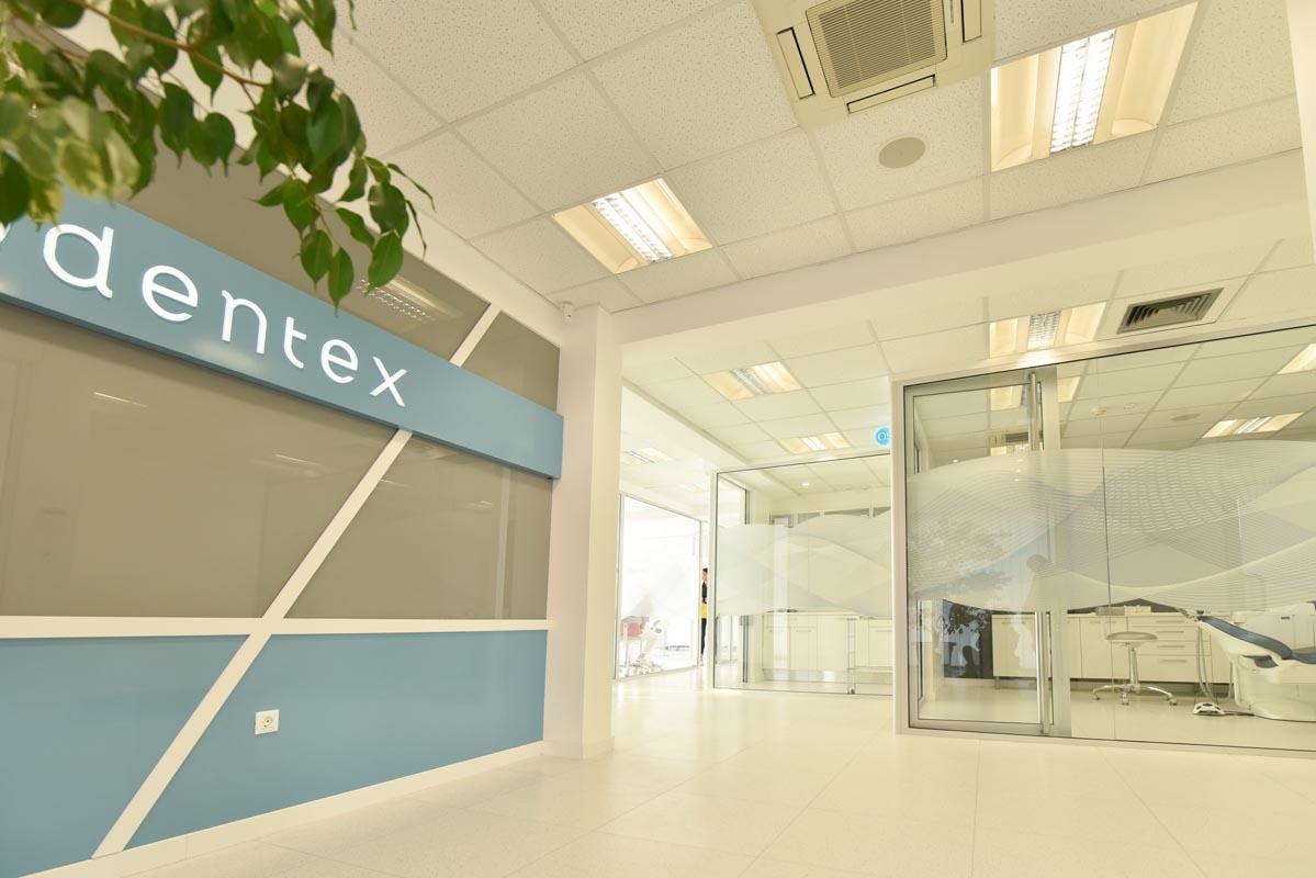 Dentex - What Dentist